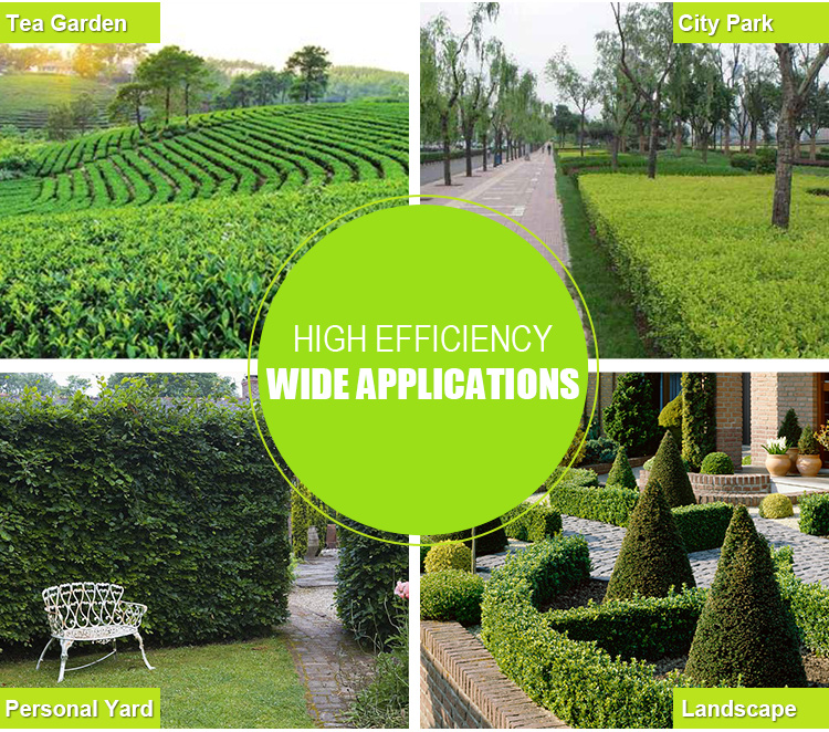 Hot Ordering Hand Held Cordless Tree Trimming Machine and Green Leaf ...