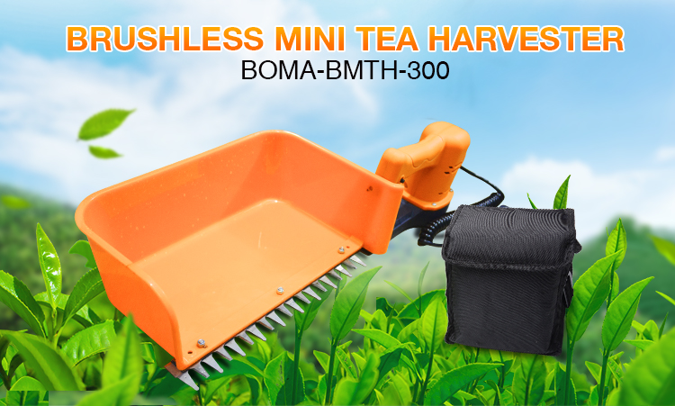 2019 New Waterproof Mini Tea Harvesting Machine for Kenya Tea Leaves ...