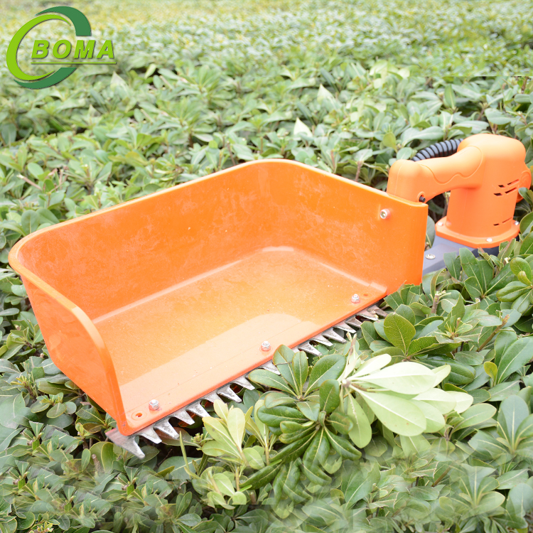 High Quality Brushless Mini Tea Plucking Machine - BOMA Garden Tools
